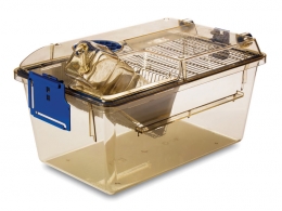 Housing Cages - IVCs - Tecniplast Australia