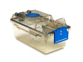 Individually Ventilated Cages