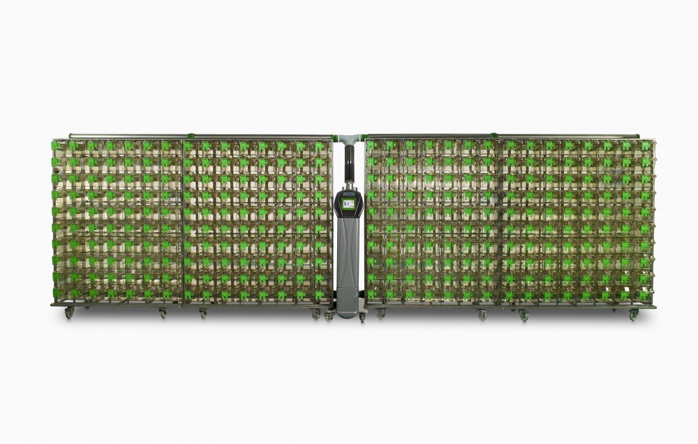 IVC 绿线独立通气笼 | Tecniplast China