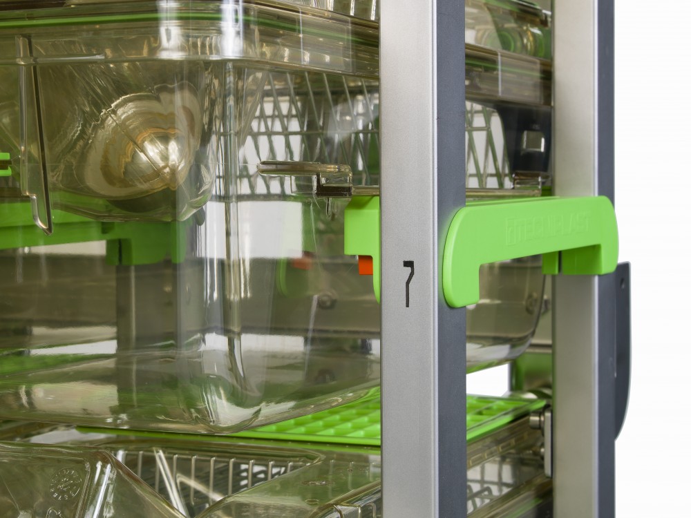 IVC 绿线独立通气笼 | Tecniplast China