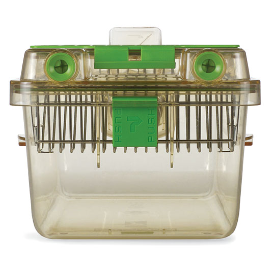 IVC 绿线独立通气笼 | Tecniplast China