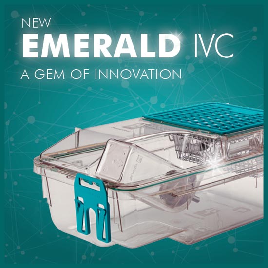 THE NEW EMERALD IVC - A GEM OF INNOVATION Panorama Newsletter ...